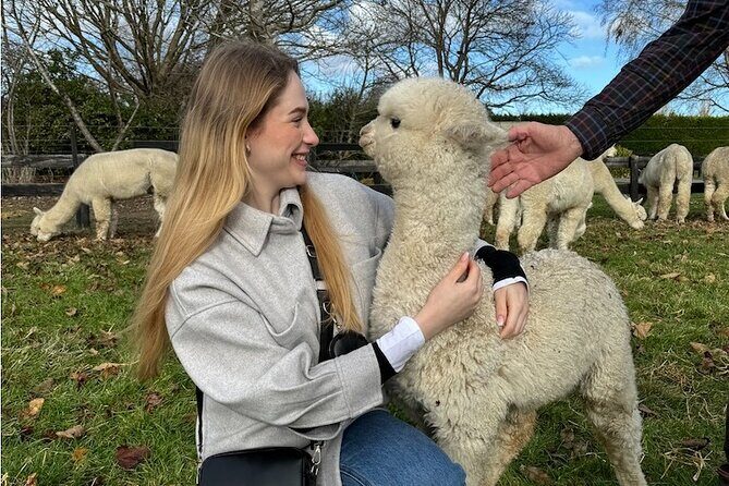 Christchurch Alpaca Farm Tour From Kaiapoi - Final Thoughts