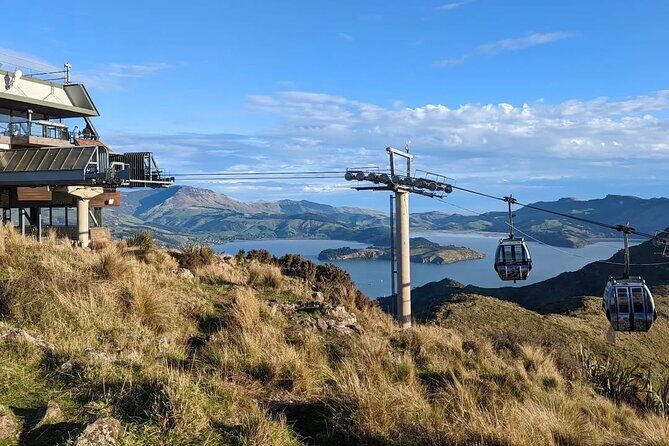 Christchurch City Full Day Tour - What the Reviews Say