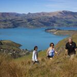 Christchurch: Guided Crater Rim Walk with Picnic - What Makes This Tour Special?