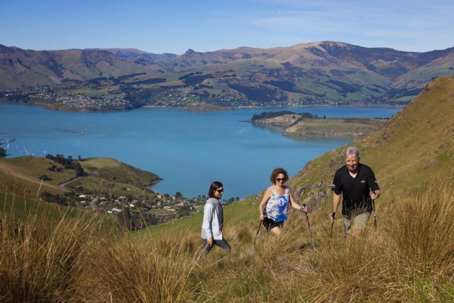 Christchurch: Guided Crater Rim Walk with Picnic - What Makes This Tour Special?