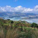 Christchurch Highlights Tour (Full Day Private) - The Value of a Private, Small-Group Tour