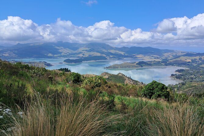 Christchurch Highlights Tour (Full Day Private) - The Value of a Private, Small-Group Tour