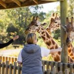 Christchurch: Orana Wildlife Park Admission - An Overview of the Experience