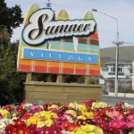 Christchurch Private Luxury Full Day Tour - What Does the Tour Include? And What About Costs?