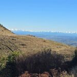 Christchurch Private Tour (Premium) Full day - City Life and Local Flavors