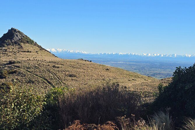 Christchurch Private Tour (Premium) Full day - City Life and Local Flavors