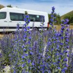 Christchurch to Franz Josef via Hokitika (1 way) - Transportation & Group Size