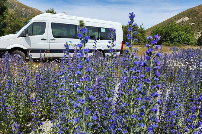 Christchurch to Franz Josef via Hokitika (1 way) - Transportation & Group Size