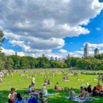Christmas in Central Park: Horse Carriage Holiday Tour - Who Will Love This Tour?