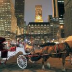Christmas in New York: Holiday Lights Horse Carriage Ride - An In-Depth Look at the Holiday Lights Carriage Ride