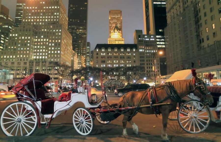 Christmas in New York: Holiday Lights Horse Carriage Ride - An In-Depth Look at the Holiday Lights Carriage Ride