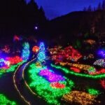 Christmas in Victoria and the Butchart Gardens - Value and Cost Analysis