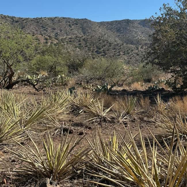 Chrysotile, AZ: Off-Road Adventure Gleason Flat - Salt River - What Can You Expect During the Tour?
