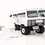 Churchill: Exclusive Tundra Buggy Day Trip - The Autumn Tundra Buggy Day Tour