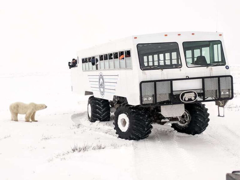 Churchill: Exclusive Tundra Buggy Day Trip - The Autumn Tundra Buggy Day Tour