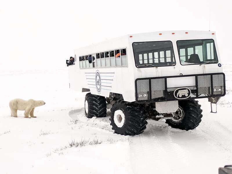 Churchill: Exclusive Tundra Buggy Day Trip - The Autumn Tundra Buggy Day Tour