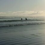 City & Coast & Country  A Relaxed Day Tour from Auckland - The Itinerary Broken Down