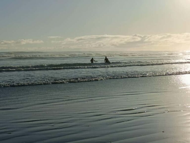 City & Coast & Country  A Relaxed Day Tour from Auckland - The Itinerary Broken Down