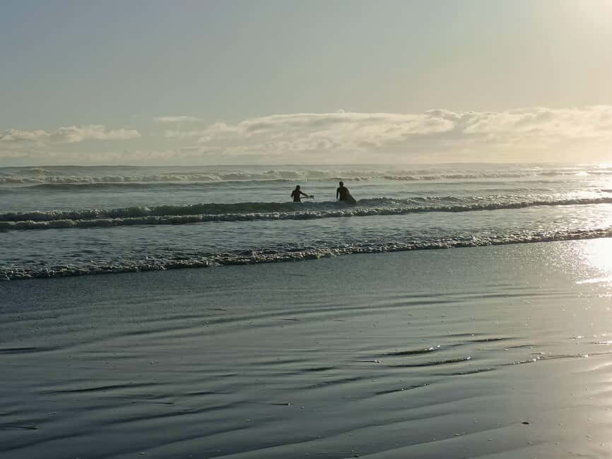 City & Coast & Country  A Relaxed Day Tour from Auckland - The Itinerary Broken Down