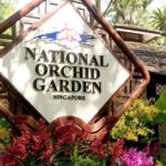 City Experience with National Orchid Garden + Roundtrip Transfers - Transportation, Timing, and Group Size