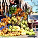City Highlights Cycle Tour of Colombo - Authentic Experiences & Practical Insights