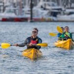 City Scenes Kayak Tour in Auckland - Explore the Waterfront - What to Expect on the Water