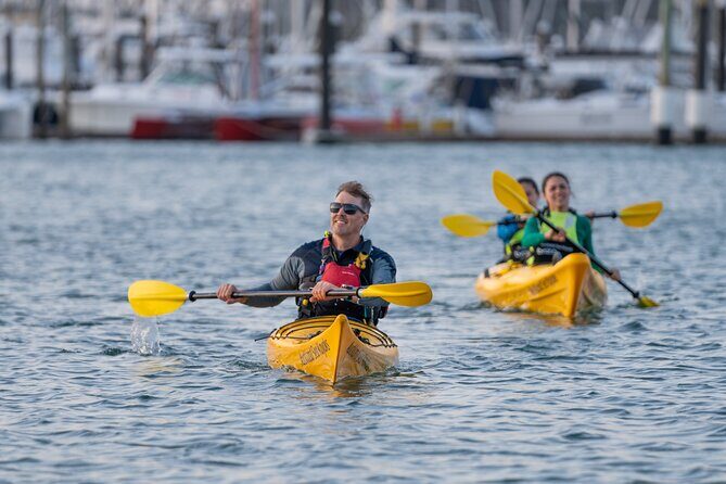 City Scenes Kayak Tour in Auckland - Explore the Waterfront - What to Expect on the Water
