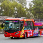 City Sightseeing Da Lat Hop-On Hop-Off Bus Tour - What the Reviews Say