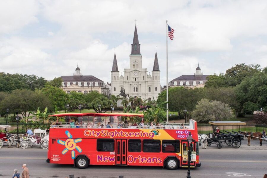City Sightseeing New Orleans HOHO Bus Tour & Bookable Extras - The Authentic Experience: What Travelers Say
