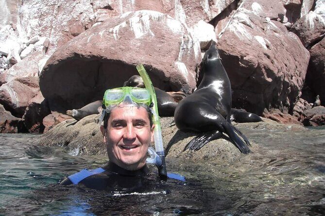 City Tour Cabo San Lucas and San Jose del Cabo - Authentic Reviews from Travelers