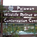 City Tour of Puerto Princesa sightseeing excursion - What Travelers Say: Authentic Feedback