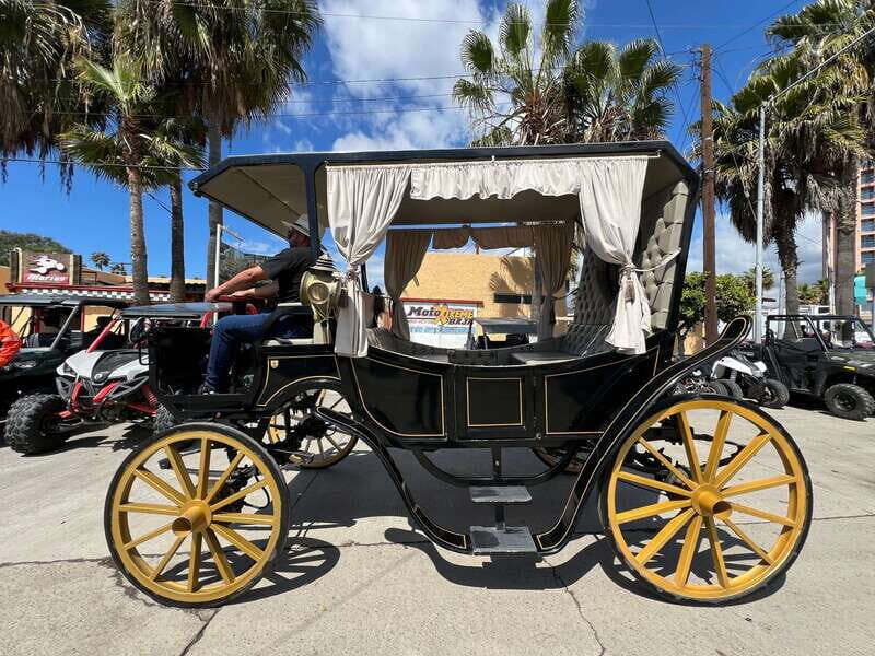 City tour on electric horse wagon. - Price and Value Analysis