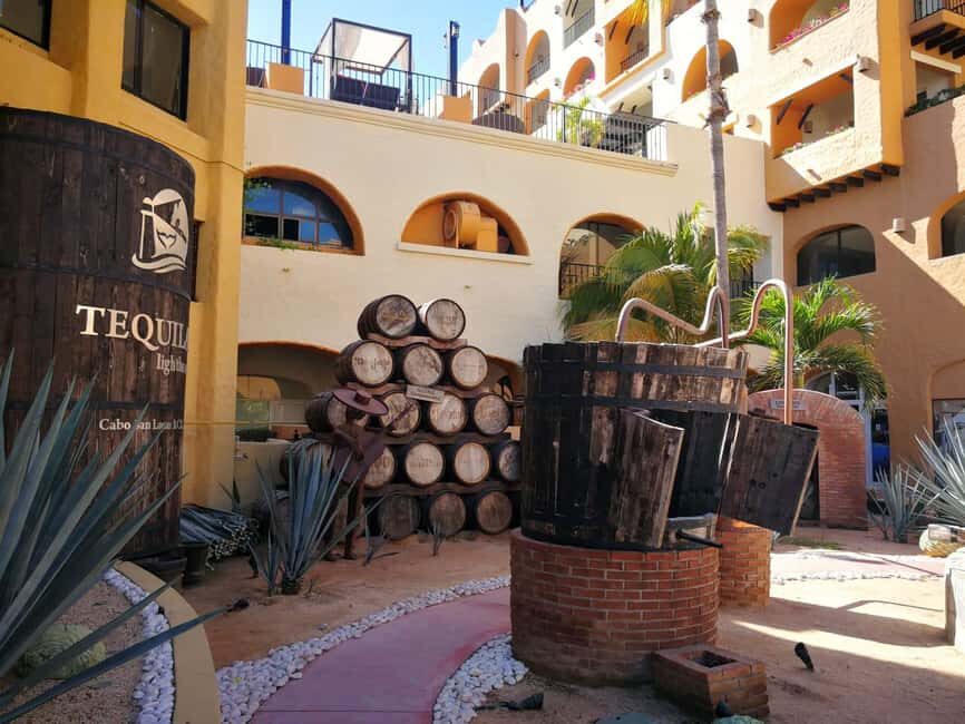 City Tour to Cabo San Lucas and Transparent boat to the Arch - The Itinerary Breakdown: What to Expect