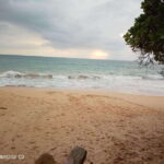 Cityscape Safari: Five Days of Discovery - Who Will Love This Tour
