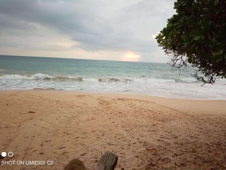 Cityscape Safari: Five Days of Discovery - Who Will Love This Tour