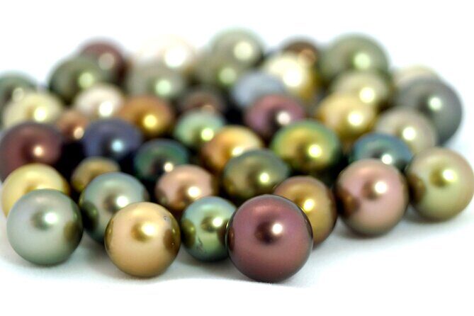 Civa Fiji Pearls Boutique Pearl Farm Tour Experience - Who Should Consider This Experience?