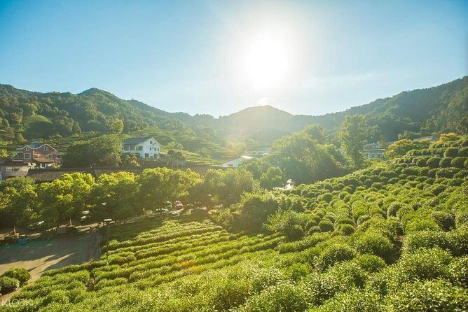 Classic Hangzhou Day Tour Plus Tea Plantation Exploration - Transport, Timing, and Overall Value