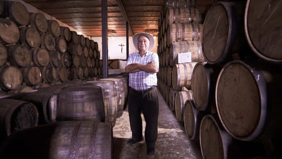 Classic Tequila Route Tour from Guadalajara and cantaritos el GÜERO!!! - Transportation, Group Size, and Overall Value