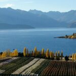 Classic Wanaka Wine Tour - Who Would Love This Tour?