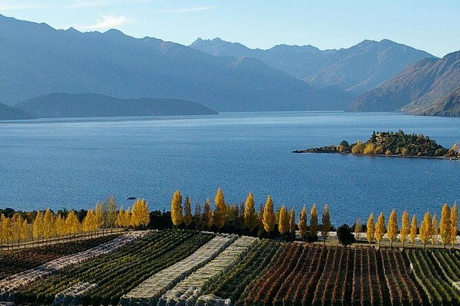 Classic Wanaka Wine Tour - Who Would Love This Tour?