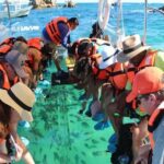 Clear Boat Tour in Cabo San Lucas - Diving Deeper into the Stops: What You Can Expect