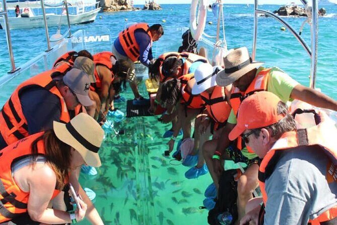 Clear Boat Tour in Cabo San Lucas - Diving Deeper into the Stops: What You Can Expect