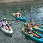 Clear Bottom Kayak Rental for Kings Bay Three Sisters Springs - What to Expect on Your Kayak Trip