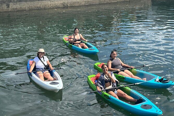 Clear Bottom Kayak Rental for Kings Bay Three Sisters Springs - What to Expect on Your Kayak Trip