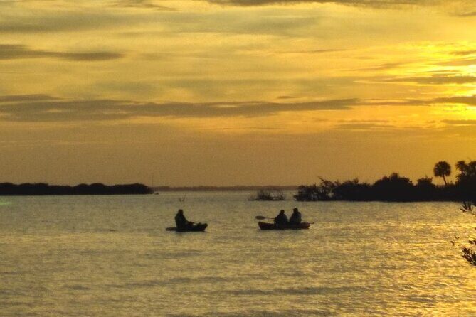 Clear Kayak Sunset Tour - Cocoa Beach - Who Is This Tour For?