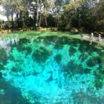 Clear Kayak Three Sisters Springs Sunset and Glow Tour - Final Thoughts: Is This Tour Worth it?