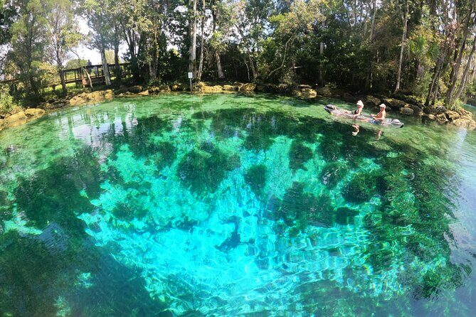 Clear Kayak Three Sisters Springs Sunset and Glow Tour - Final Thoughts: Is This Tour Worth it?