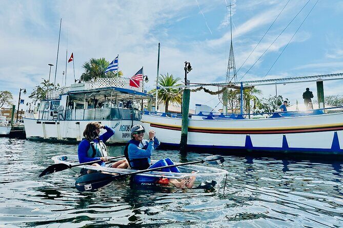 Clear Kayak Tour of Tarpon Springs Sponge Docks & Mangroves - What Travelers Say