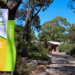 Cleland Wildlife Park Experience - from Adelaide including Mt Lofty Summit - The Scenic Stop at Mt. Lofty Summit