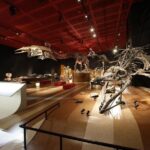 Coal & Fossil Museum Admission Ticket - Authentic Insights from Visitors